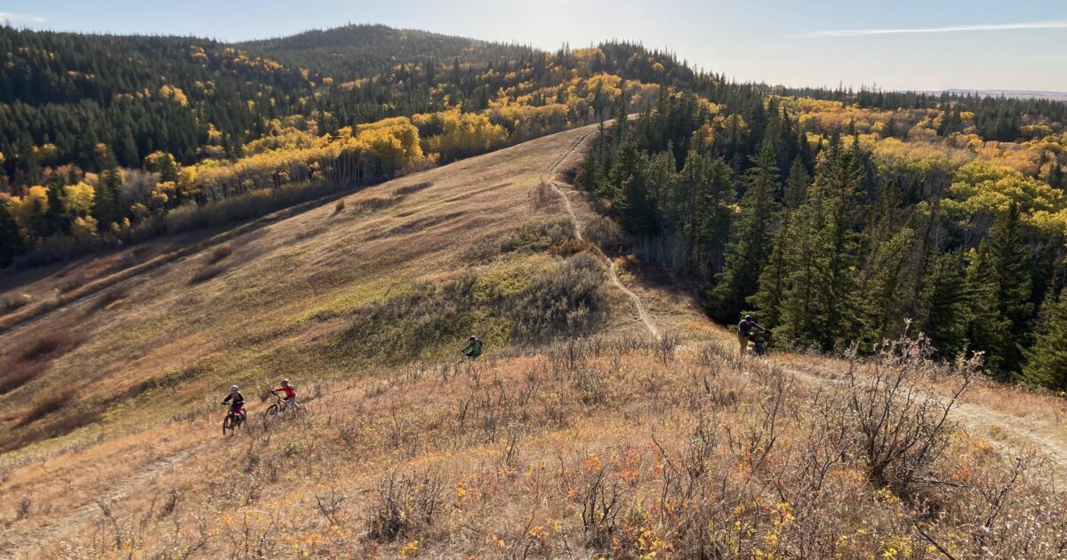 Cypress Hills Provincial Park | Explore Southern Alberta