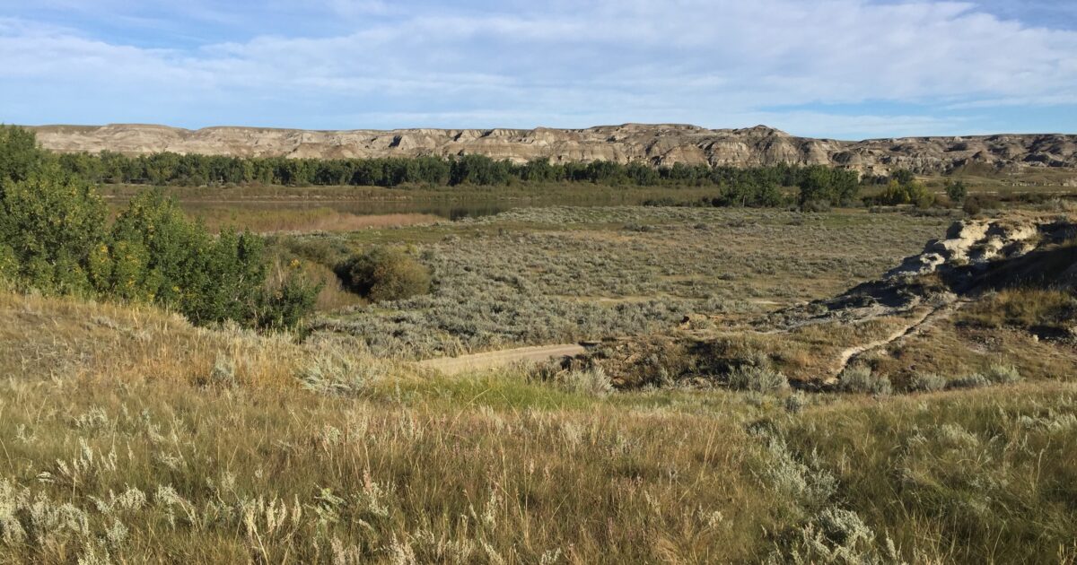 Dinosaur Park Campground | Explore Southern Alberta